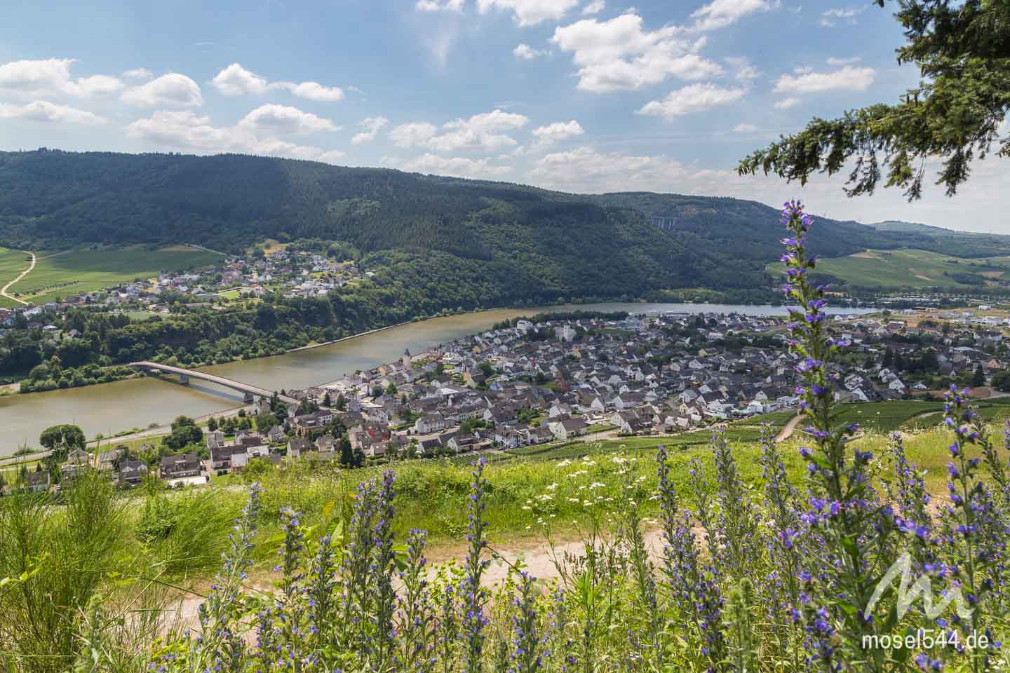 Mehring | Alles über die Mosel