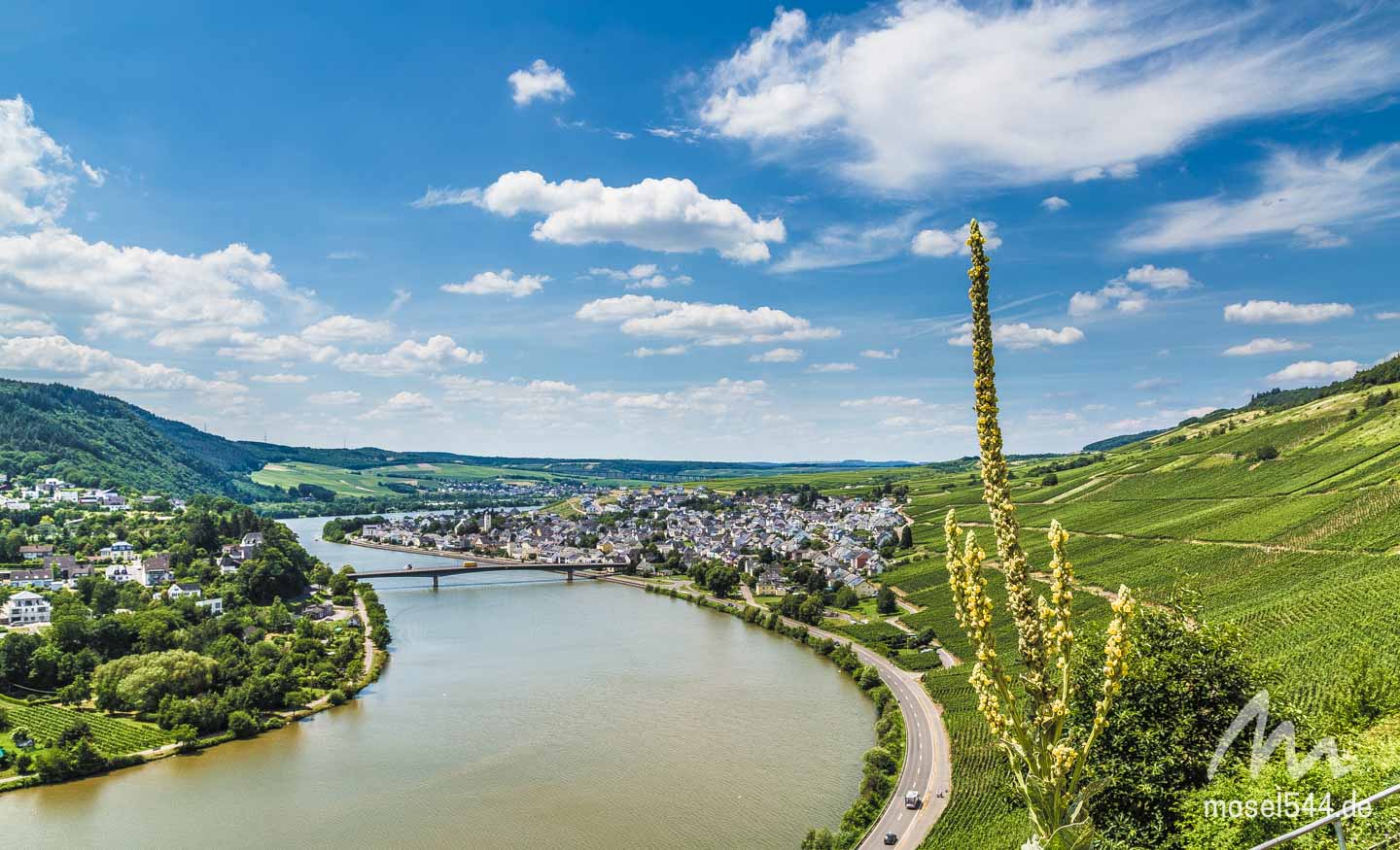 Mehring | Alles über die Mosel