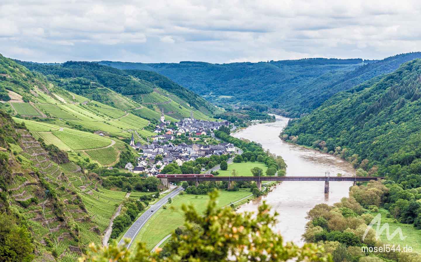 Ediger-Eller | Alles über die Mosel