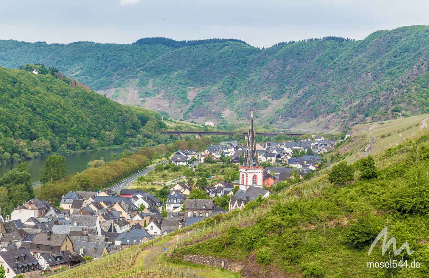 Moselsteig Etappe 17: Von Ediger-Eller nach Beilstein | Alles über die ...
