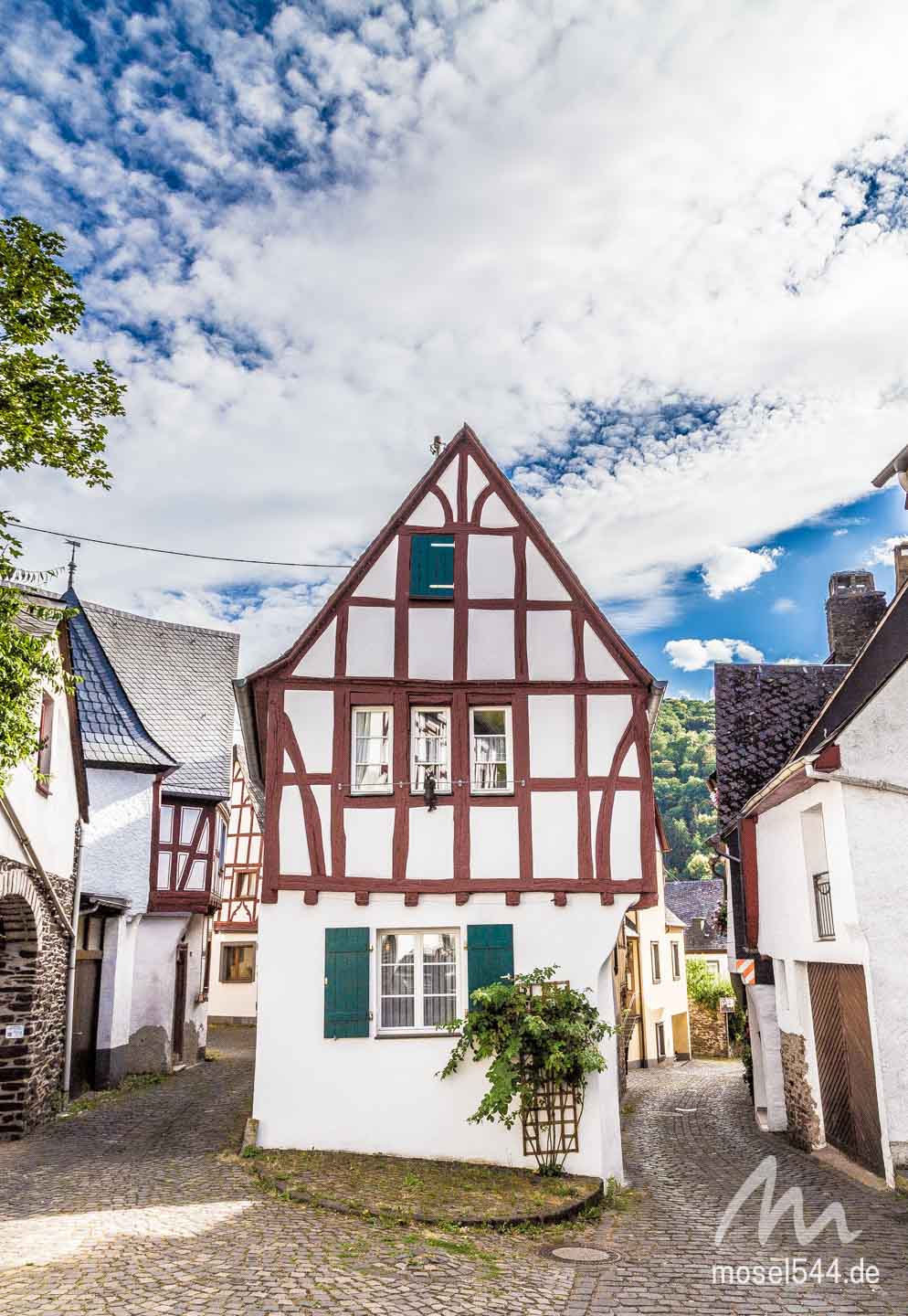 Ediger-Eller | Alles über die Mosel