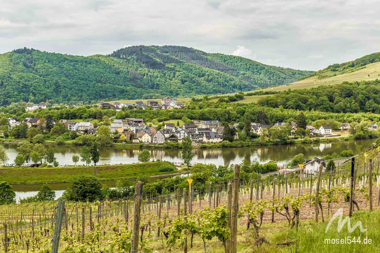 Moselsteig Etappe 17: Von Ediger-Eller nach Beilstein | Alles über die ...