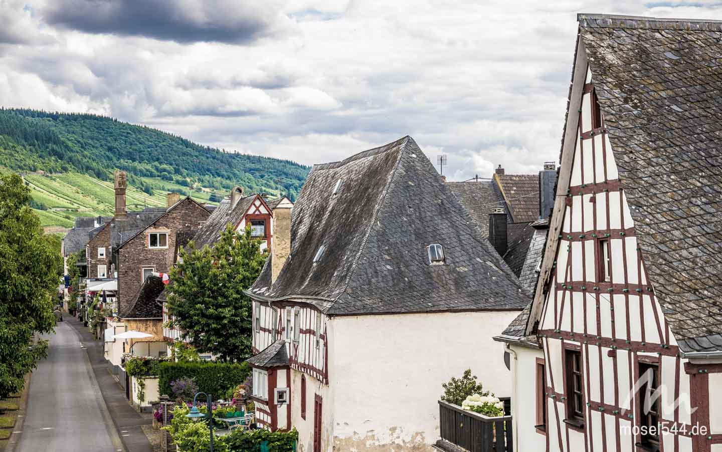 Reil | Alles über die Mosel